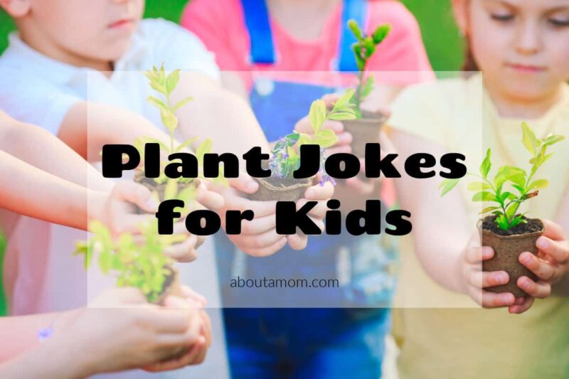 Garden Giggles: Spring Jokes for Kids - About a Mom
