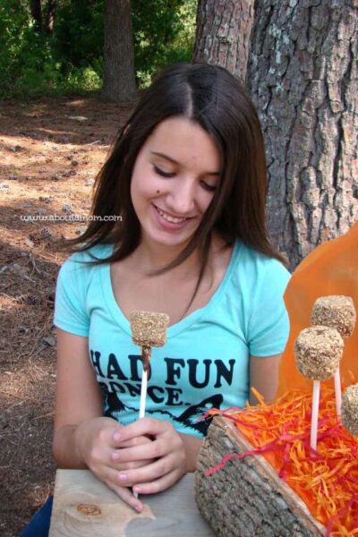 Celebrate National S'mores Day with S'mores on a Stick! - About a Mom
