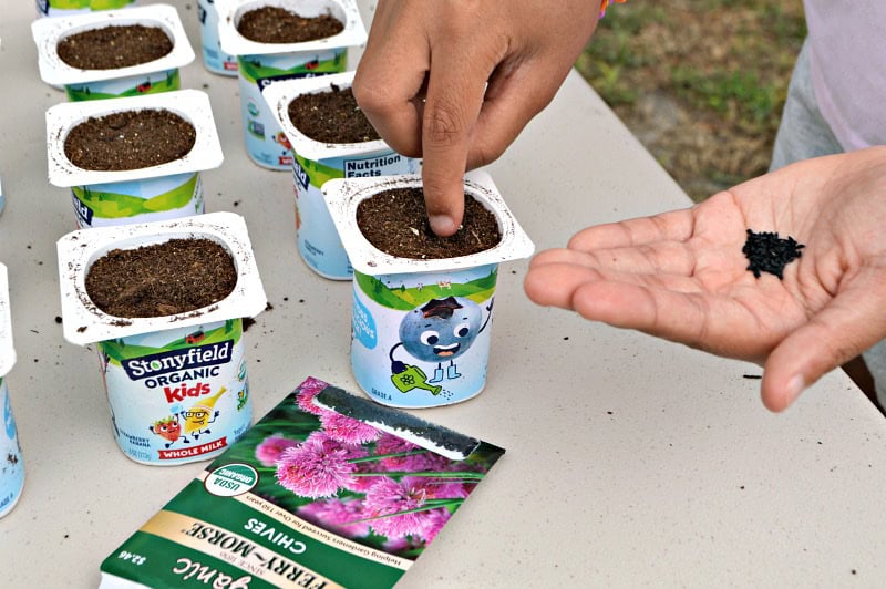 Repurposed Seed Containers 8 Recycled Seed Starter Containers From