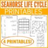 Seahorse Facts and Life Cycle Printables - About a Mom