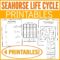 Seahorse Facts and Life Cycle Printables - About a Mom