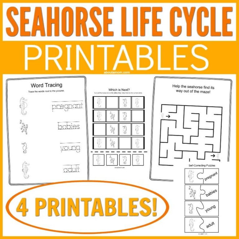 Seahorse Facts and Life Cycle Printables - About a Mom