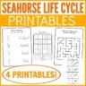 Seahorse Facts and Life Cycle Printables - About a Mom