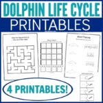 FREE Dolphin Life Cycle Printables - About a Mom