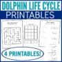 FREE Dolphin Life Cycle Printables - About a Mom