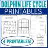 FREE Dolphin Life Cycle Printables - About a Mom