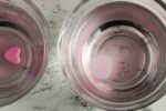 Dissolving Candy Hearts Science Experiment for Valentine's Day - About ...