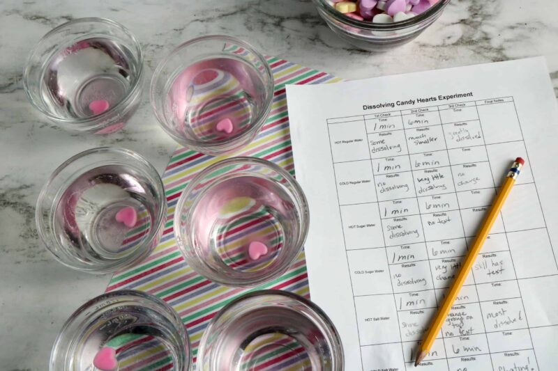 Dissolving Candy Hearts Science Experiment for Valentine's Day - About ...