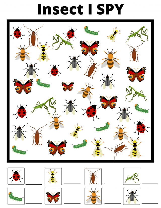 Free Summer I Spy Printable Activity Pack - About a Mom