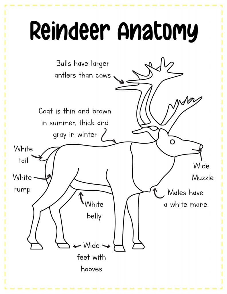 Free Printable Reindeer Activity Set - About a Mom