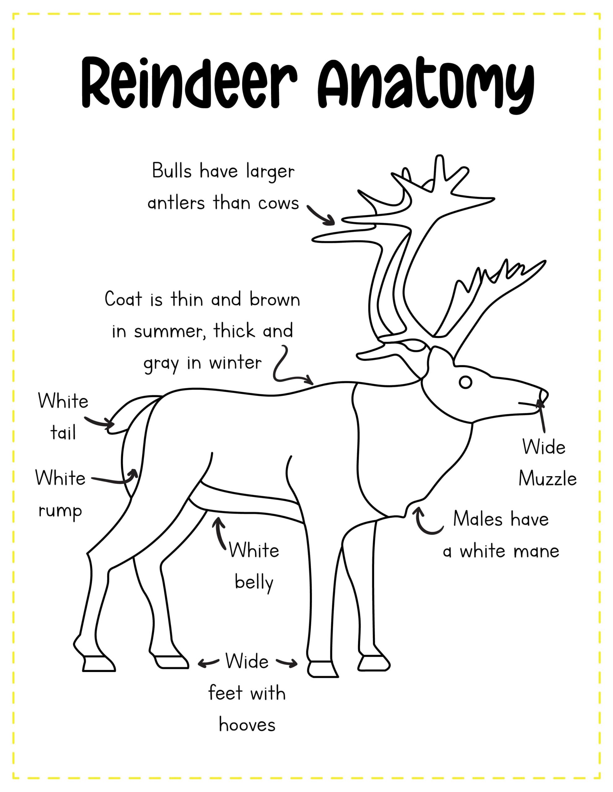 Free Printable Reindeer Activity Set - About a Mom