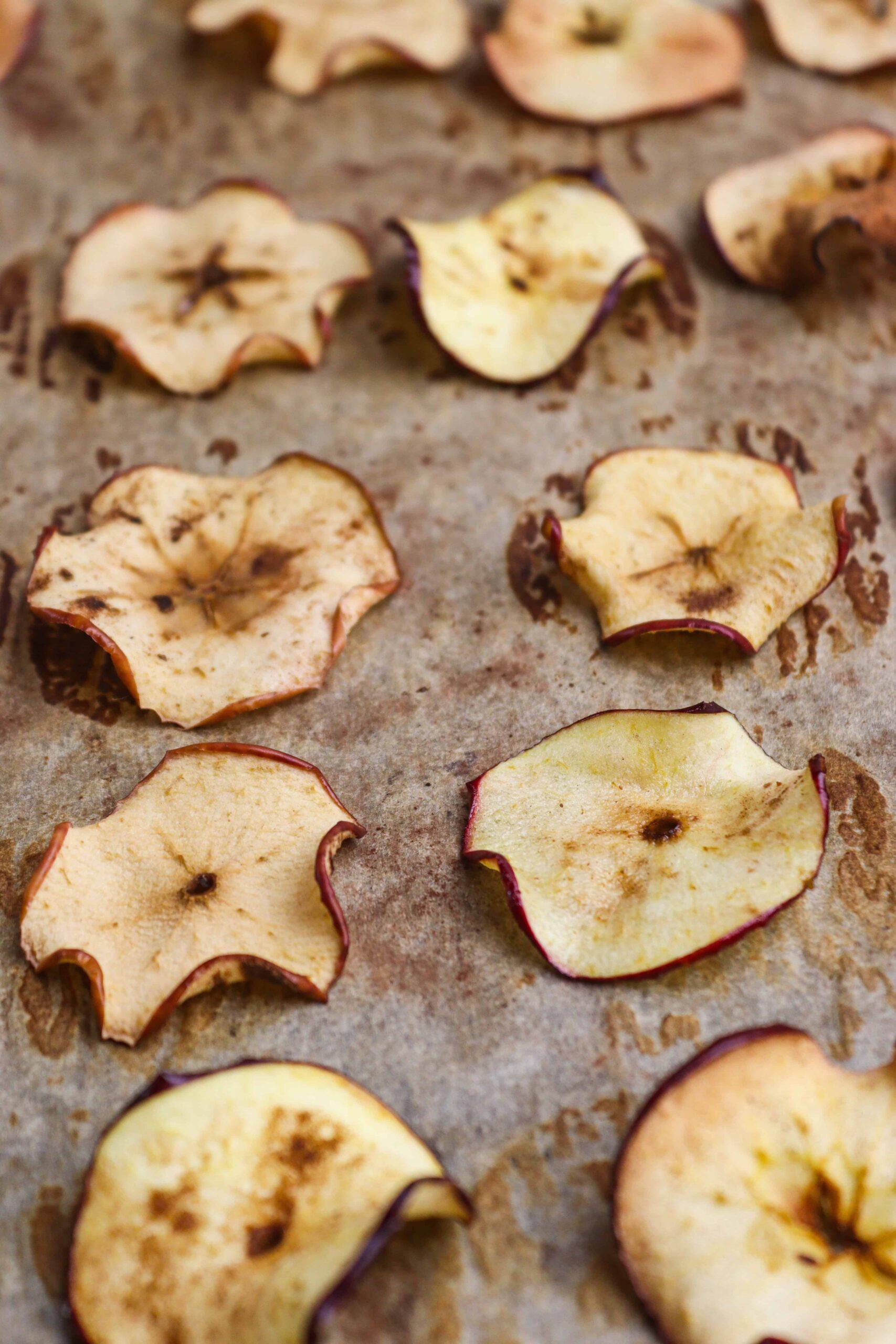 Dehydrated Apples (Dried Apples in Oven) - About a Mom