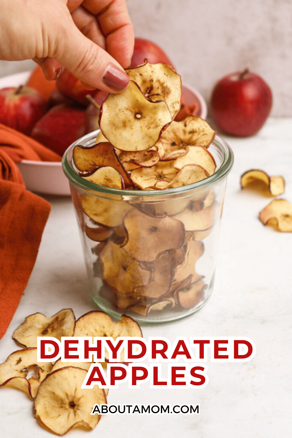 Dehydrated Apples - About a Mom