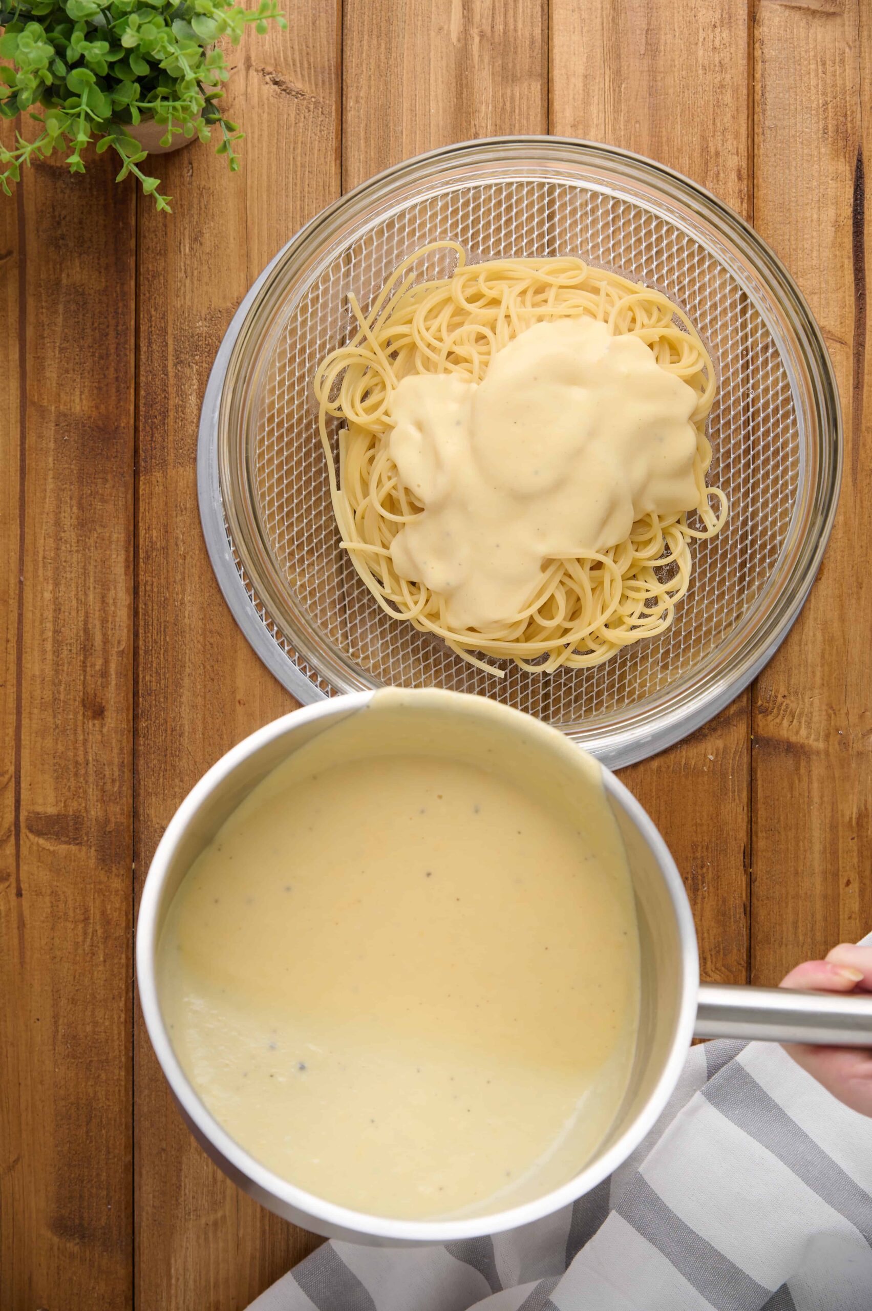 Spaghetti Mac and Cheese - About a Mom